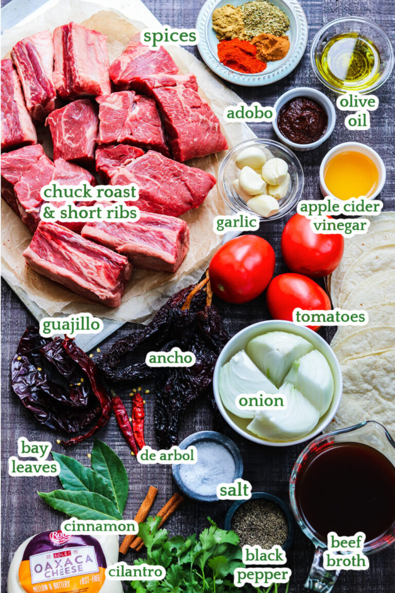 Beef Birria Recipe (Birria de Res) - Give it Some Thyme