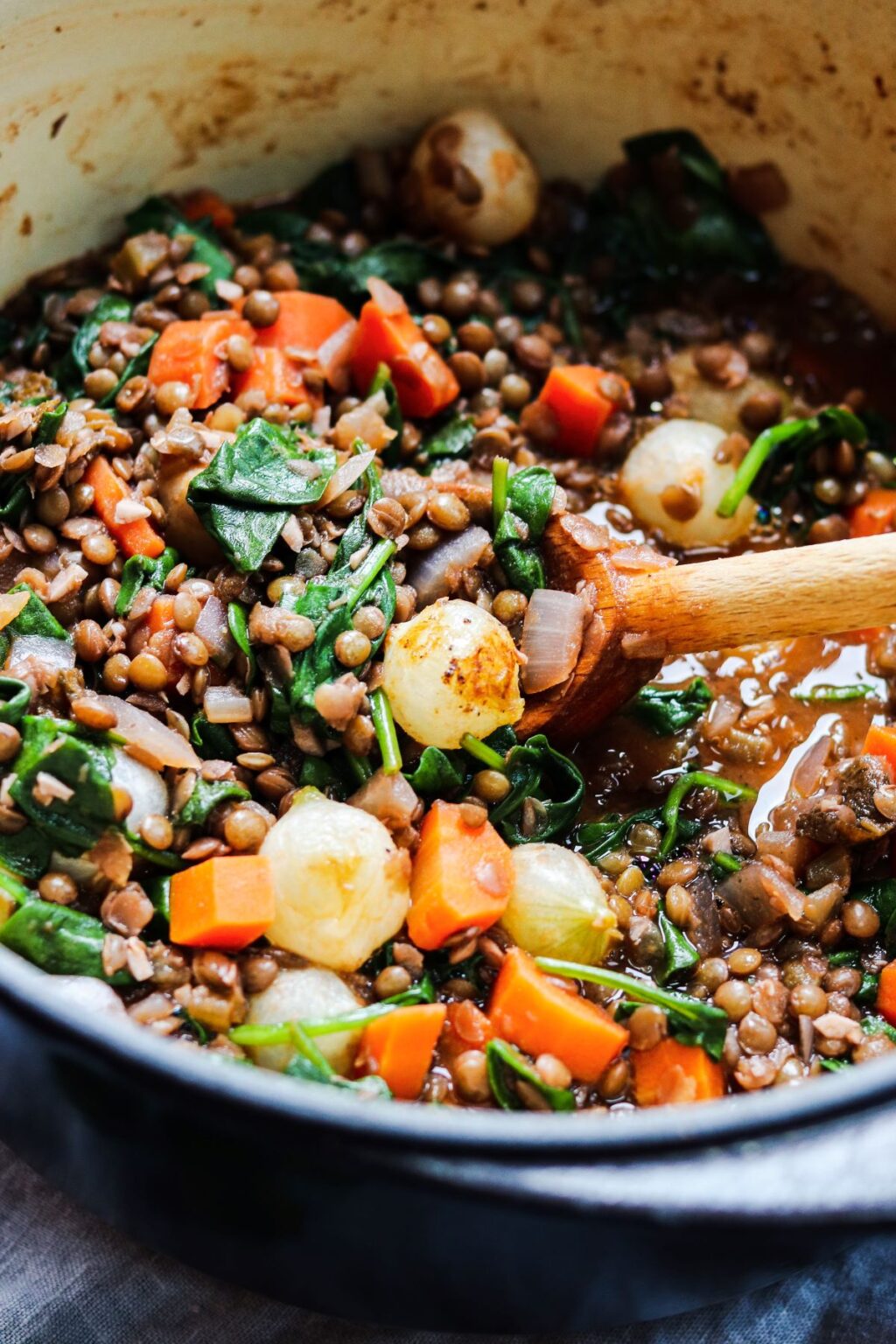 French Lentils Recipe with Red Wine - Give it Some Thyme